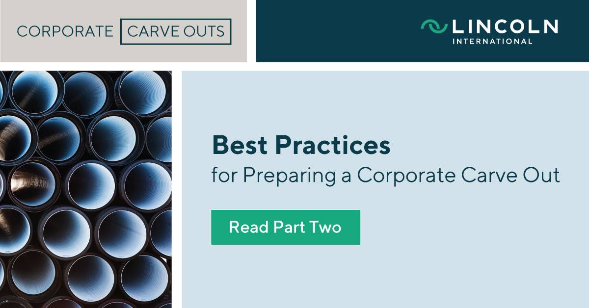 Best Practices for Preparing a Corporate Carve Out - Lincoln ...